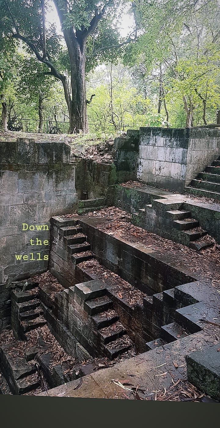 Polo Forest Camping & Adventure - A Travel Guide - Xplore The Earth