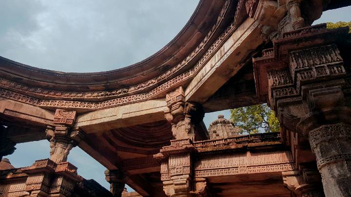 Polo Forest Camping & Adventure - A Travel Guide - Xplore The Earth