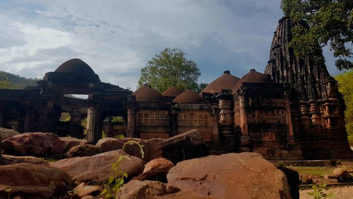 Polo Forest Camping & Adventure - A Travel Guide - Xplore The Earth