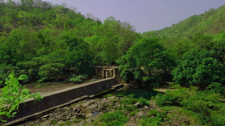 Polo Forest Camping & Adventure - A Travel Guide - Xplore The Earth