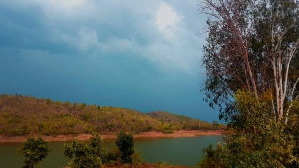 Polo Forest Camping & Adventure - A Travel Guide - Xplore The Earth