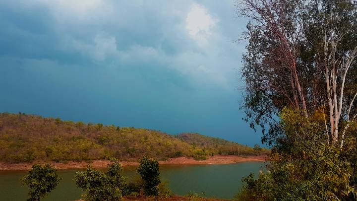 Polo Forest Camping & Adventure - A Travel Guide - Xplore The Earth